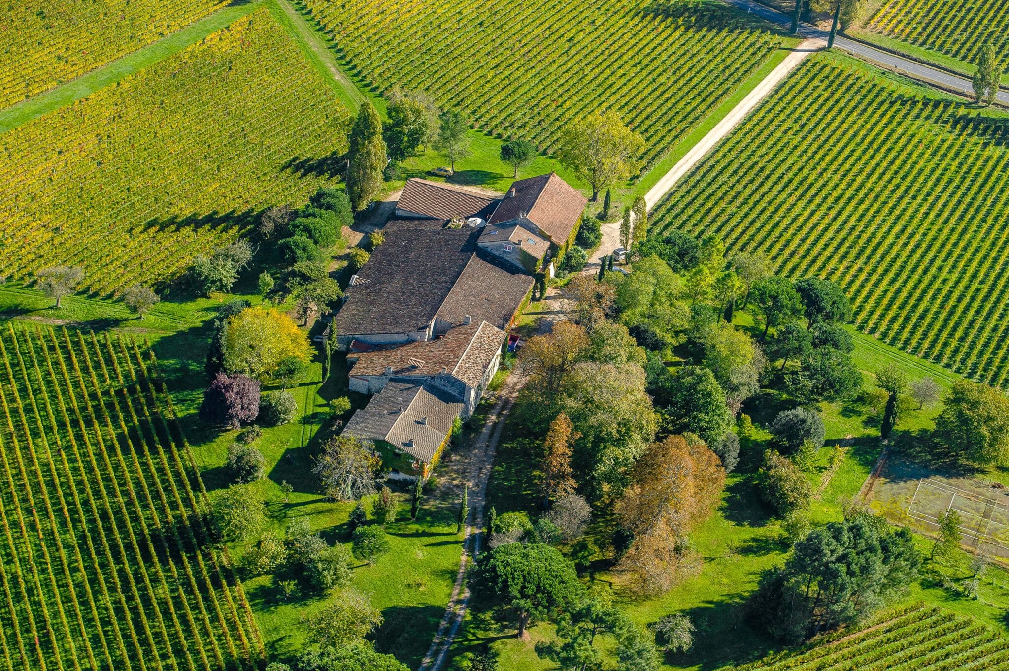 Château Macquin - Vignoble d'exception en Gironde