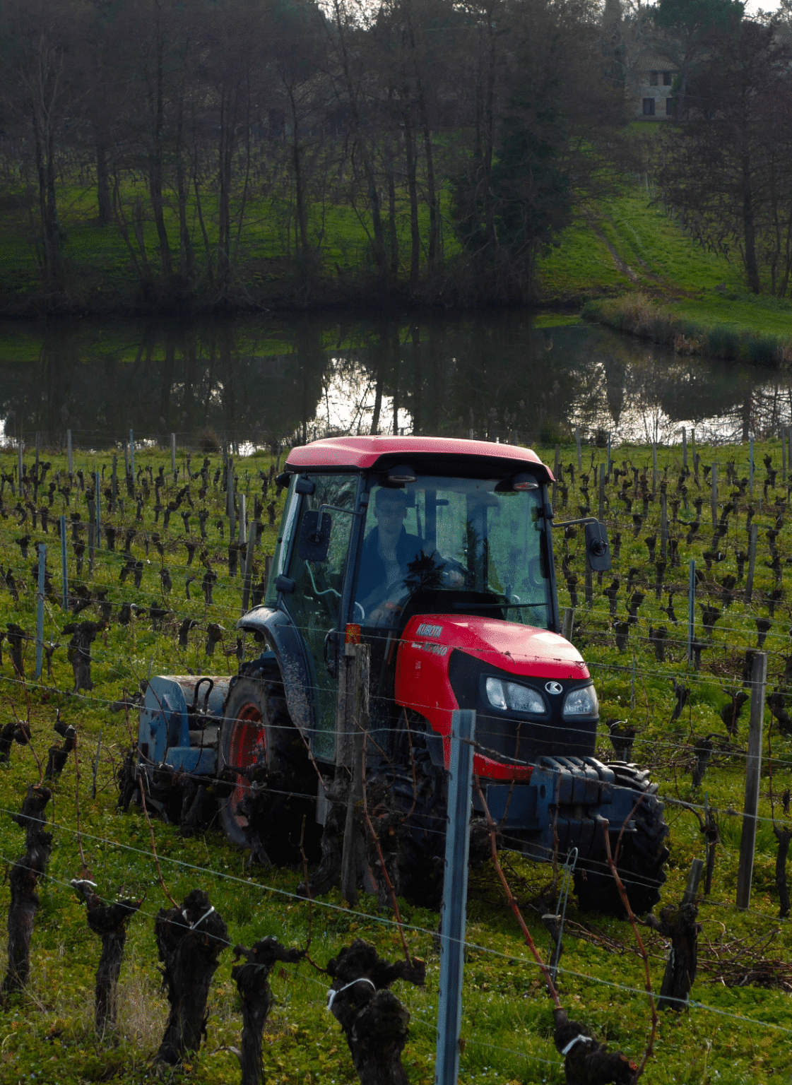 Château Macquin - Vignoble d'exception en Gironde